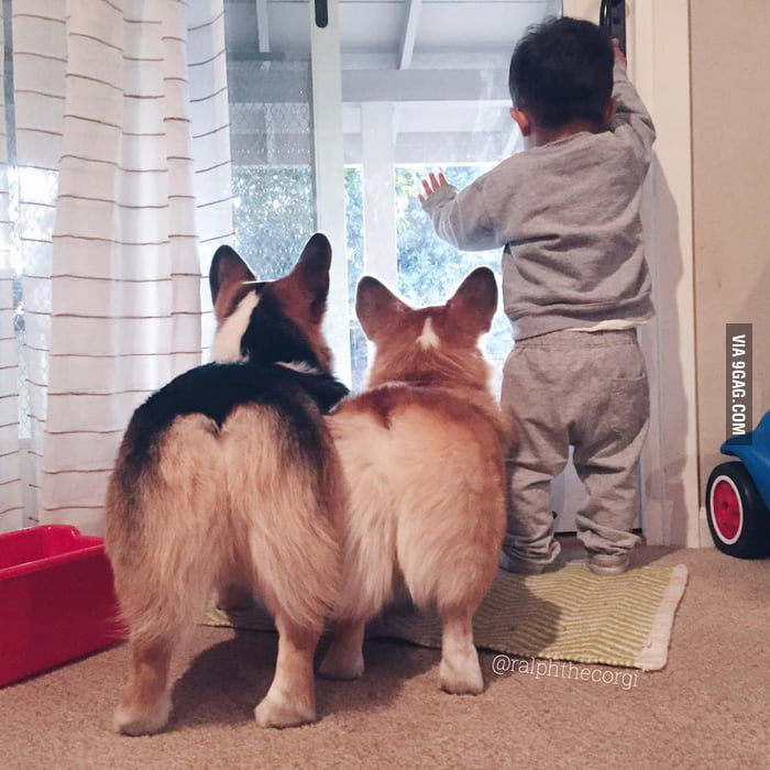Booty Love 9gag