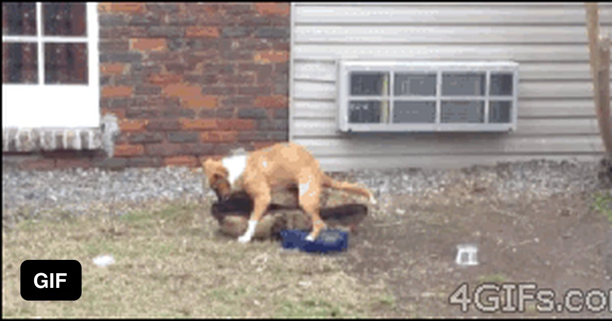 Super ultra hump mode engaged! - 9GAG