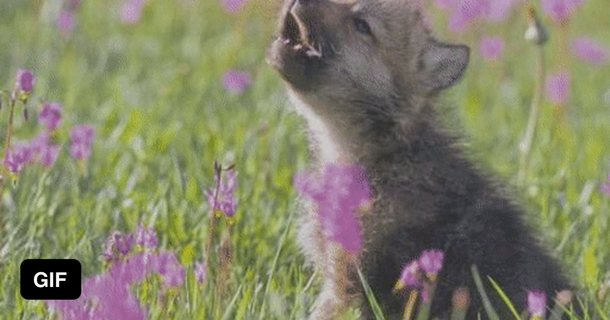 Oh yeah I'm evil - 9GAG