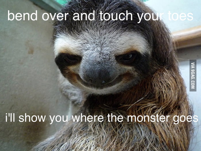 Creepy sloth is creepy - 9GAG