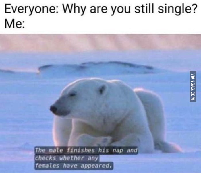 They never do! - 9GAG