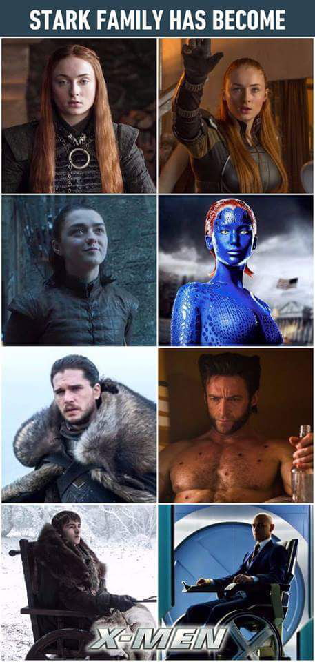 Stark Family Memes Never Mess With Arya Stark | It's Just Curiosity!
