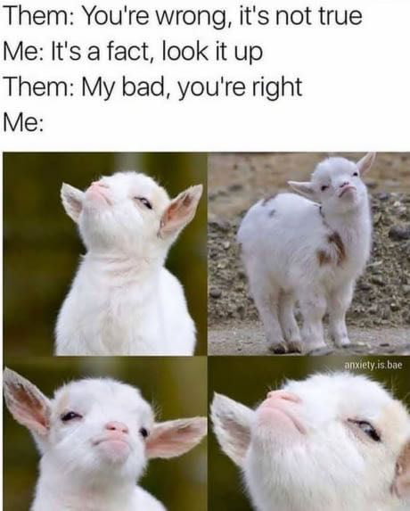 Me goat - 9GAG