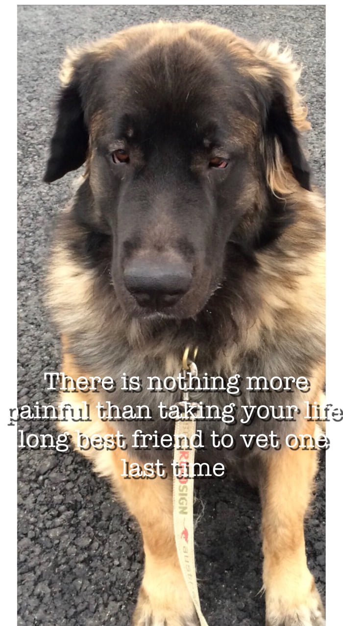 Until next time, my friend - 9GAG