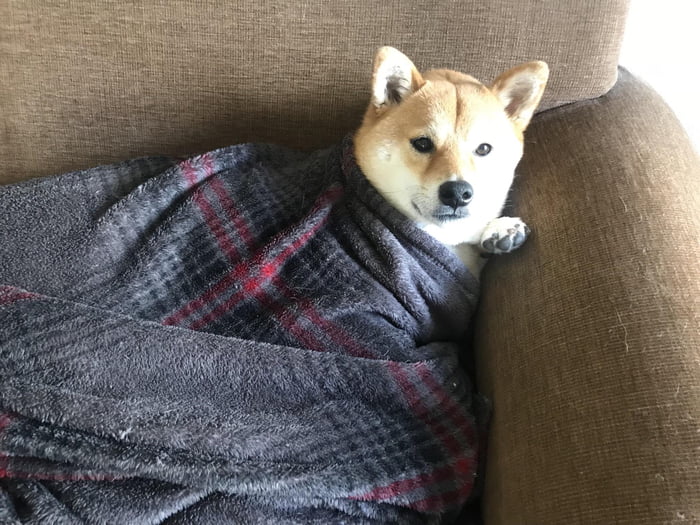 Hmmm life’s good - 9GAG