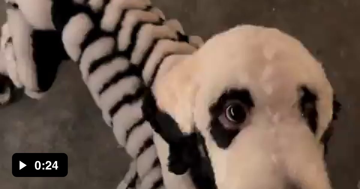 Making death less scary - 9GAG