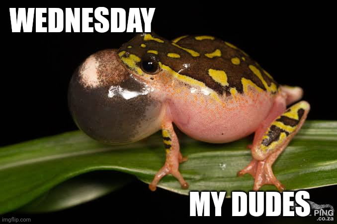 Sing it loud, sing it proud!! - 9GAG