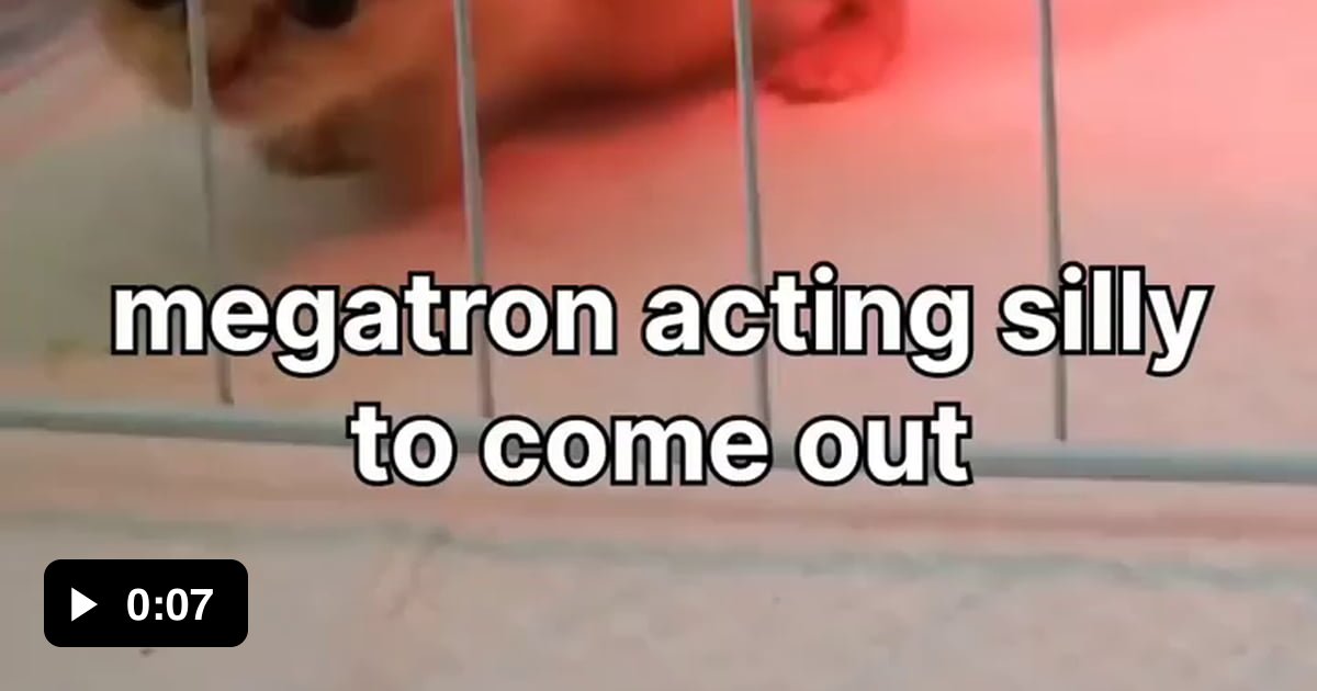 Confounded by cursed bars - 9GAG