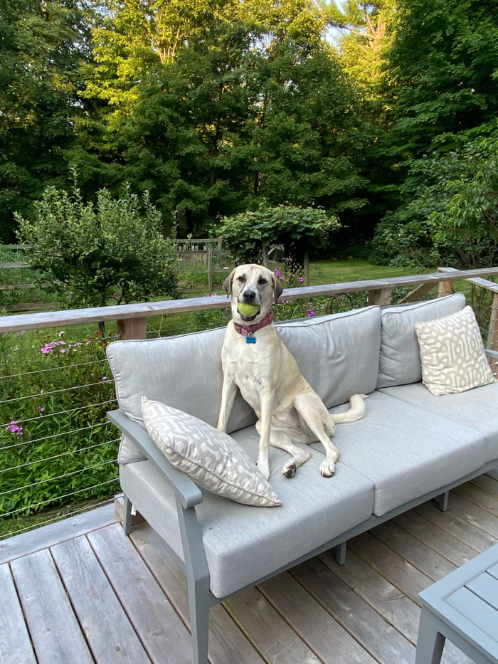 Kylie waiting for a sucker to play keep away. - 9GAG