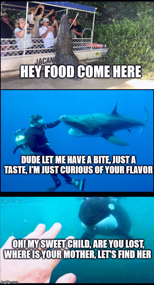 3 different kinds of encounters - 9GAG