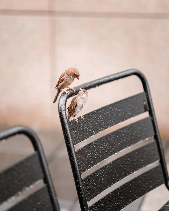 Two Tiny Souls - 9GAG