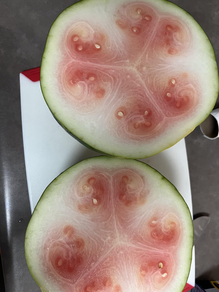 Was craving some watermelon - 9GAG