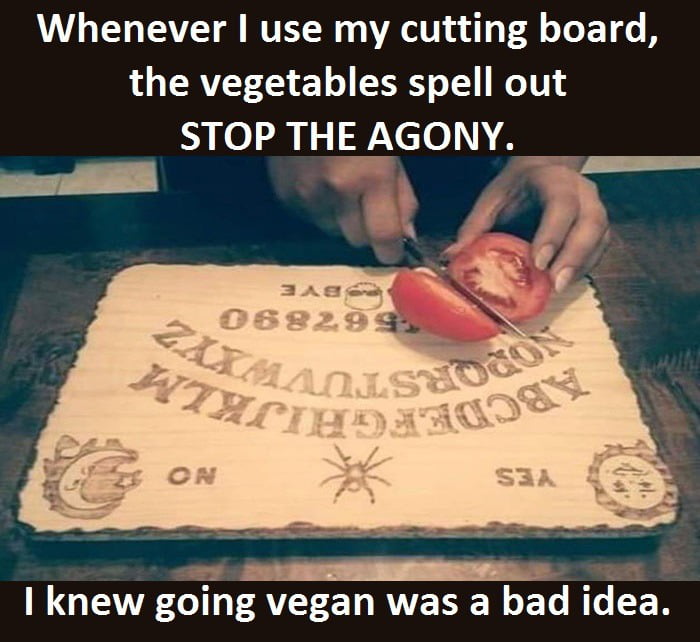 When a vegan eats vegetables, it's cannibalism - 9GAG
