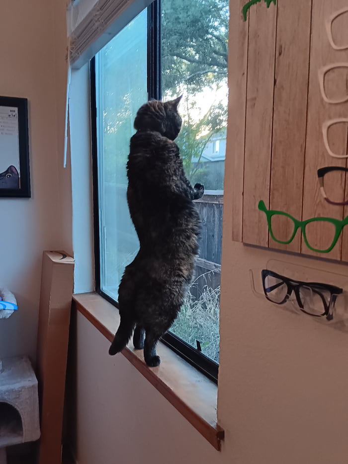 What they doing over there? - 9GAG