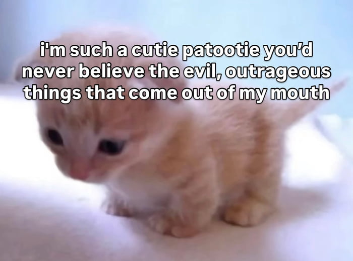 This tiny fluffball has a secret dark side, and I'm here for it. - 9GAG