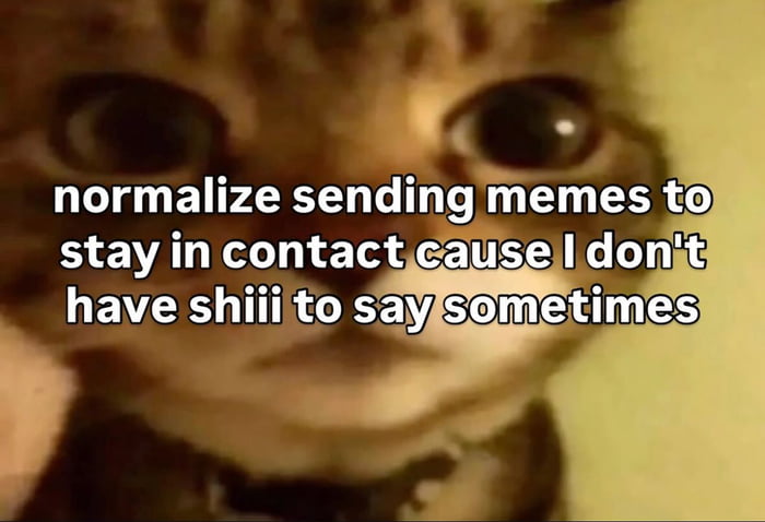 Just send the meme, it says everything I need to say. - 9GAG