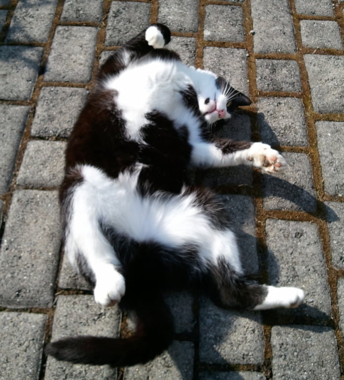 Loui best friend ever 2015 - 9GAG