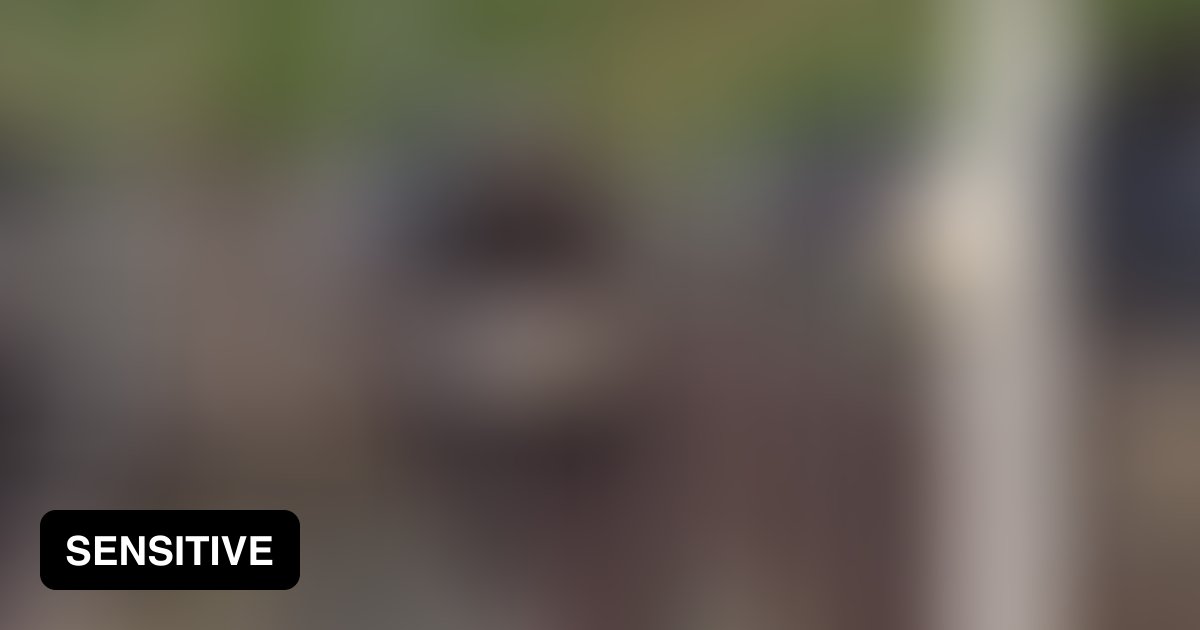 Su tan gustada sección - 9GAG