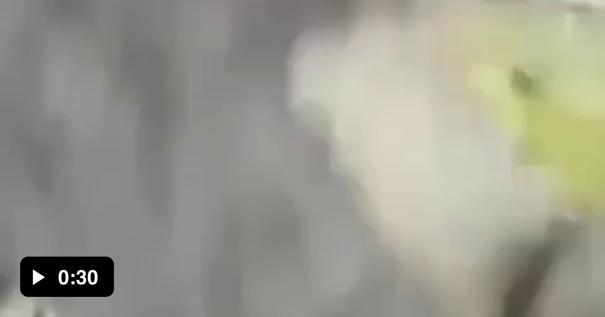 Dulu wkt kecil prnh lihat pasangan mesum digerebek warga & diarak warga dlm keadaan telanjang dr ...