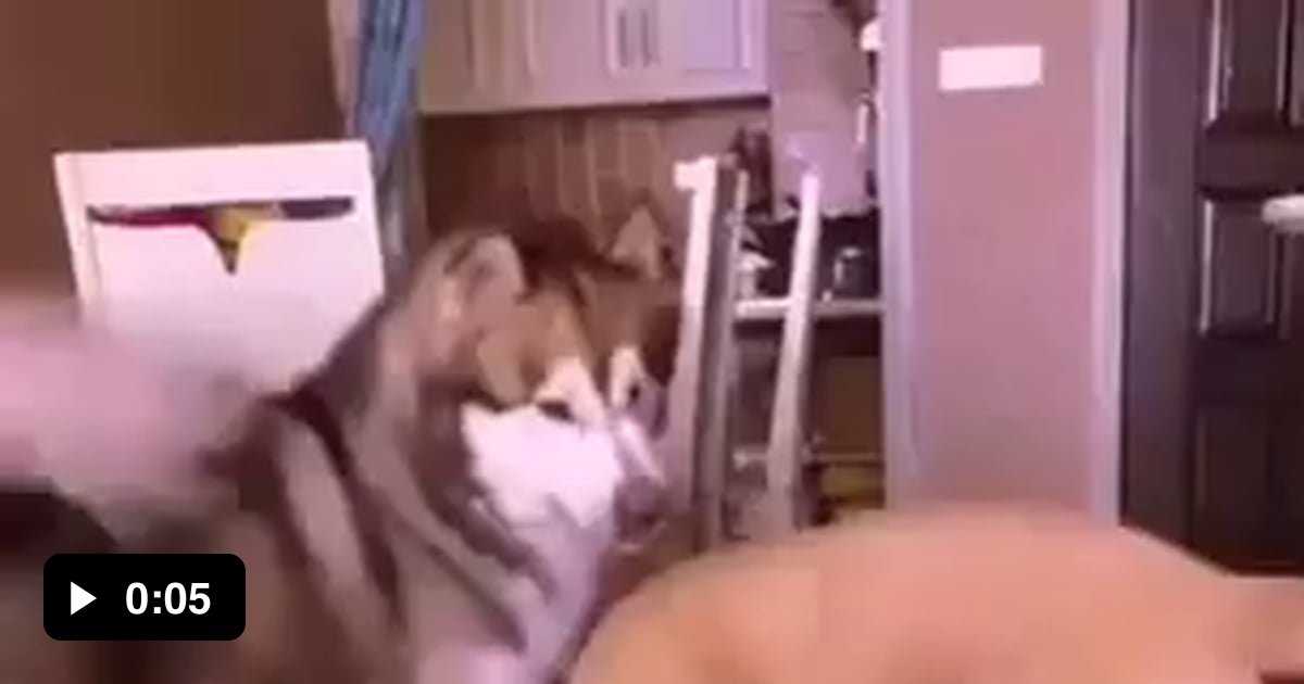 That was a hot slap - 9GAG