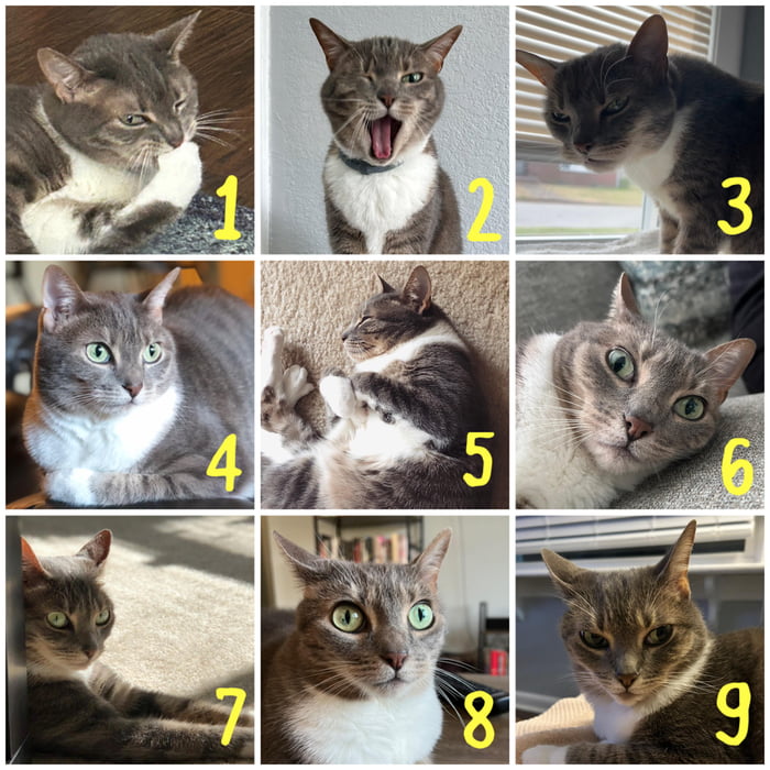 Aspiring Actor - trying out different expressions & poses... - 9GAG