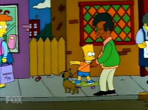 Immigrant in Springfield stealing and eating your pet - 9GAG