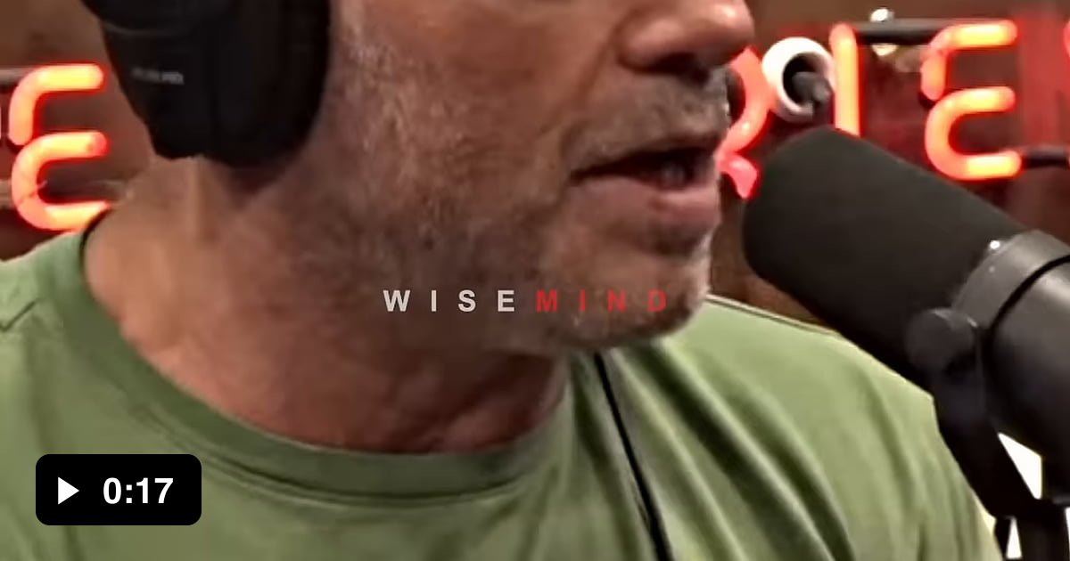 Joe Rogan Interviews Joe Rogan about Joe Rogan (stolen from YT comment ...