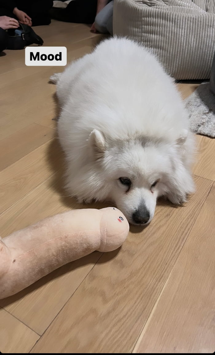 When your wife got's the mood - 9GAG