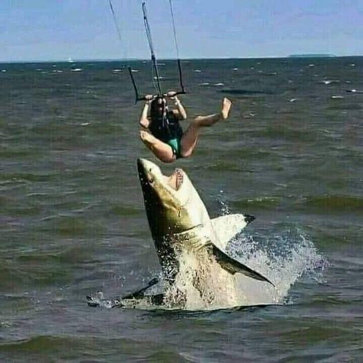Now this is fishing! - 9GAG