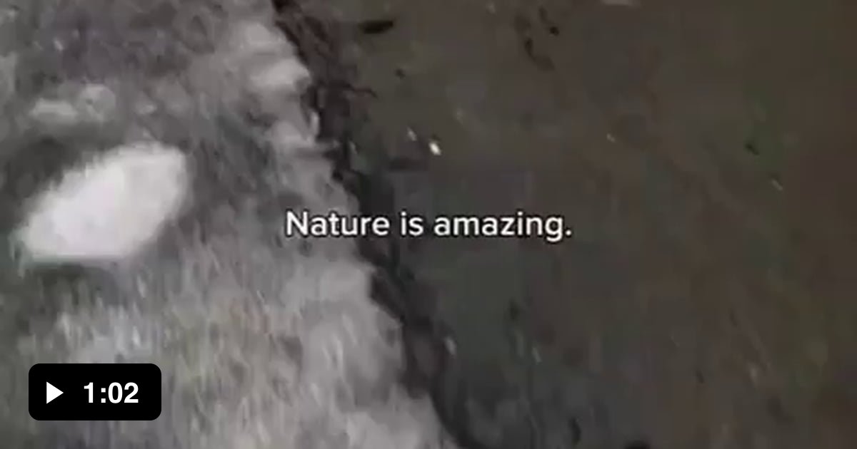 Nature is amazing - 9GAG
