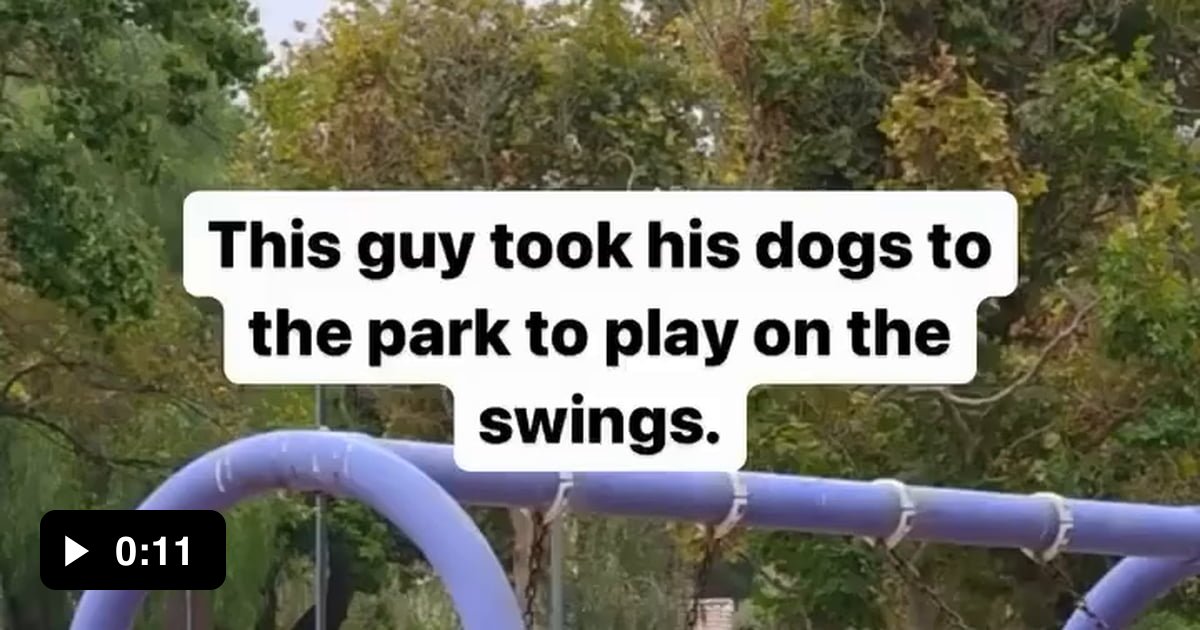 Puppy playtime: unconventional but delightful - 9GAG