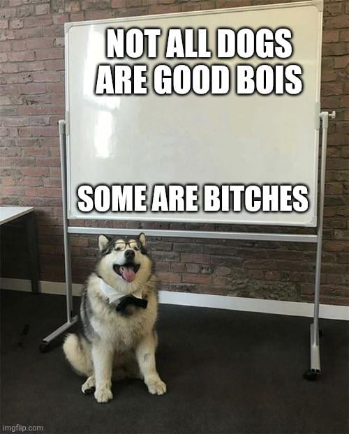 13/10 heccing good pupper - 9GAG
