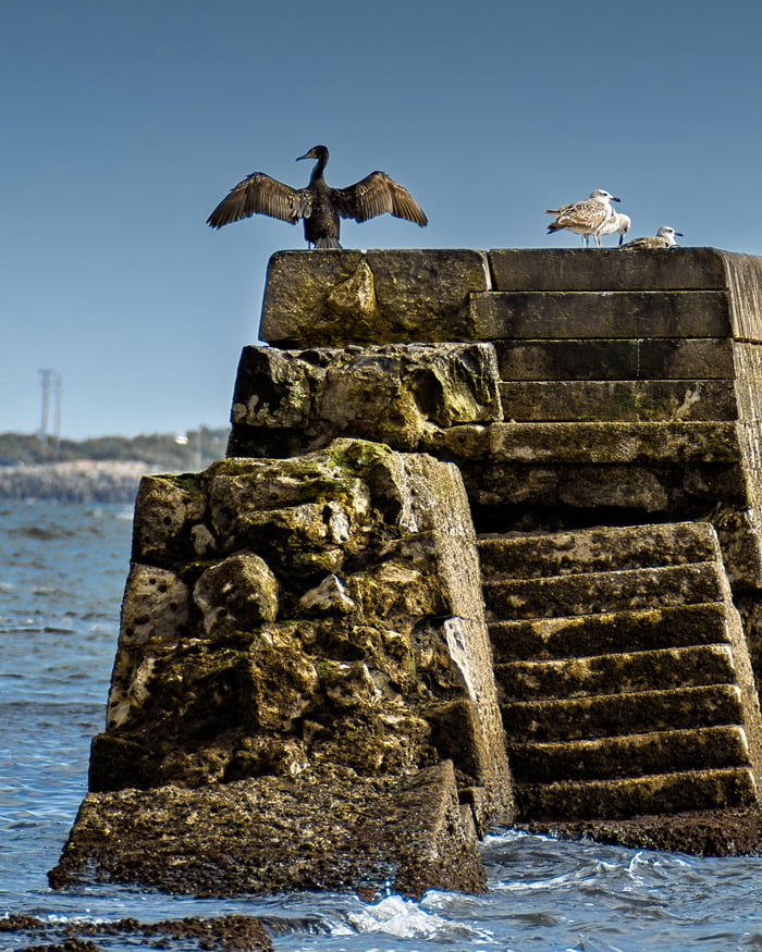 Poor dude thinks he's impressing them - 9GAG