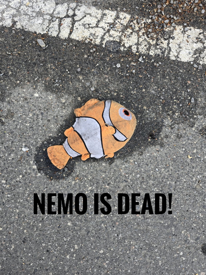 Real life Nemo outside the ocean.... - 9GAG