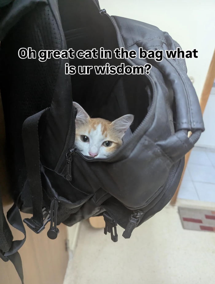 COMMENT YOUR WISDOM BELOW - 9GAG