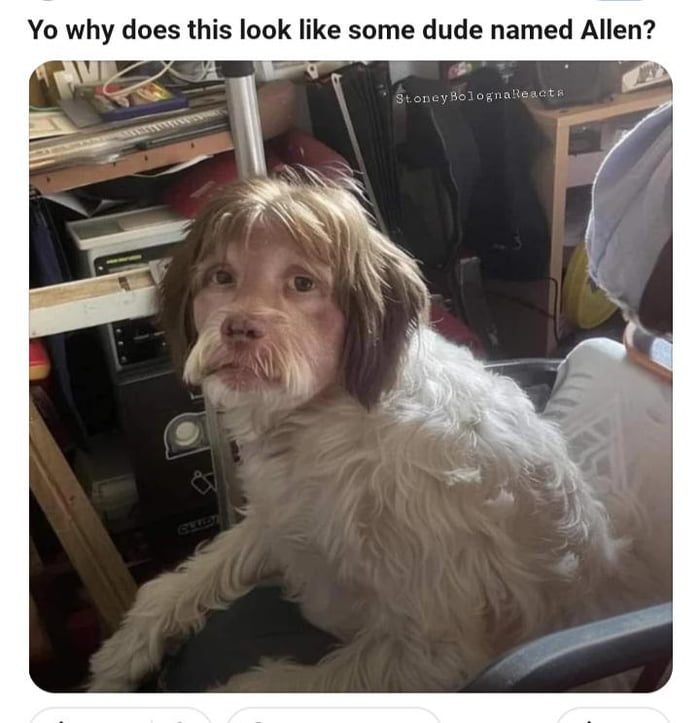 Allen Mcbark - 9GAG