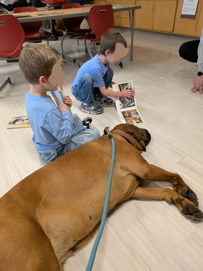 Ember helping learning readers! - 9GAG