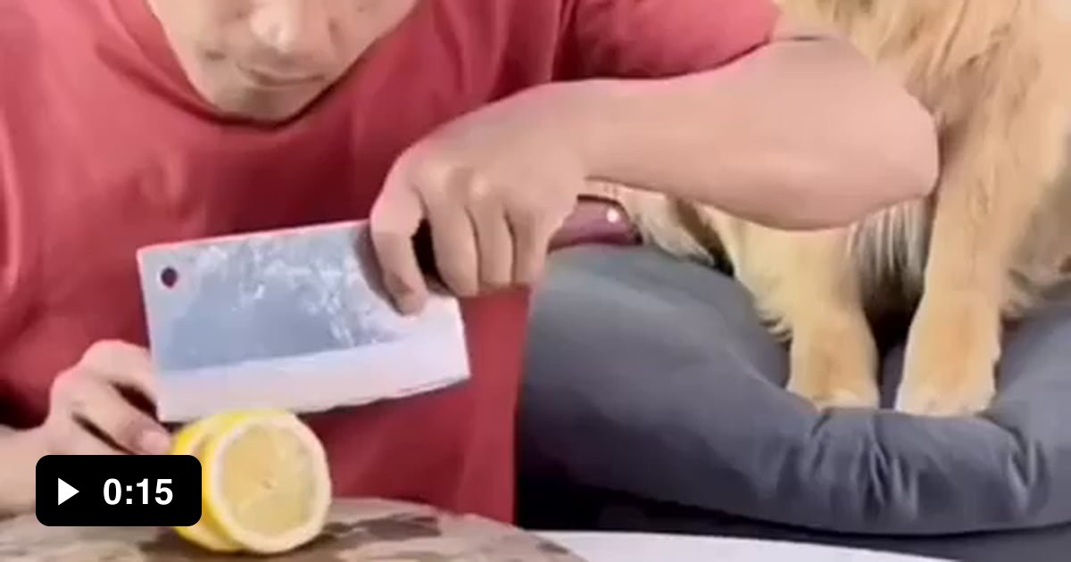 How dare you tease me - 9GAG