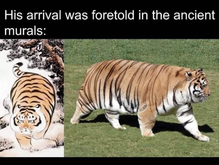 He has awaken - 9GAG