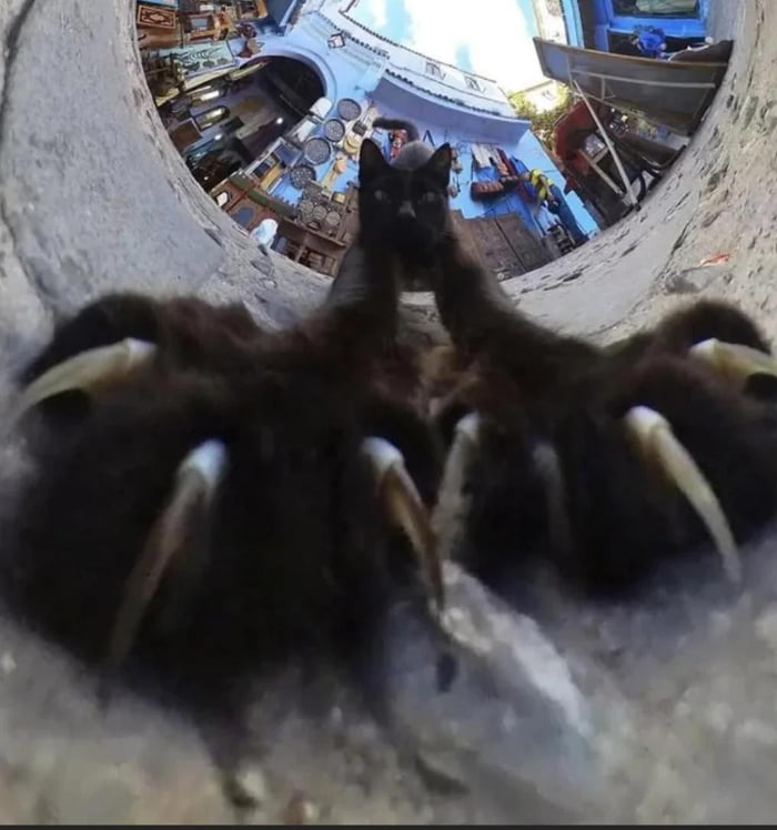 Extendo-claws: ripper of flesh - 9GAG