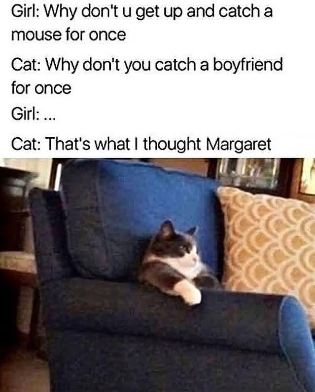 Never argue with a cat named Margaret. - 9GAG