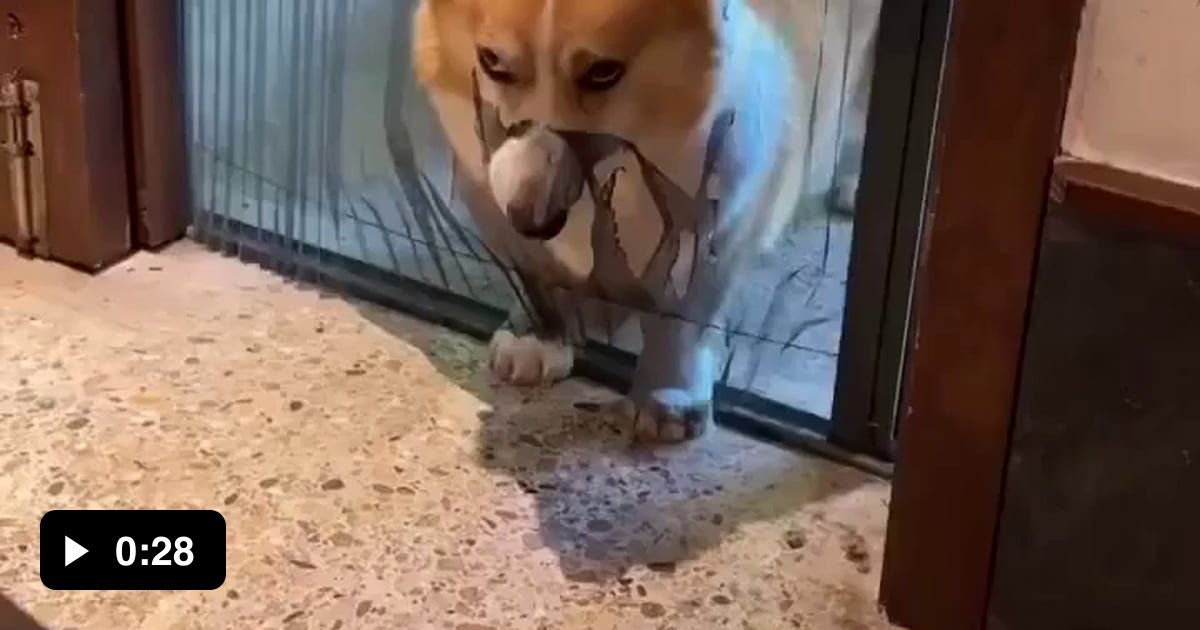 He's so embarrassed - 9GAG