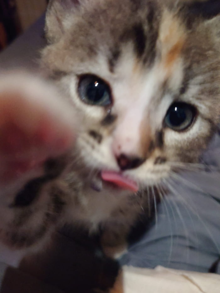 Say hi to Mimi - 9GAG