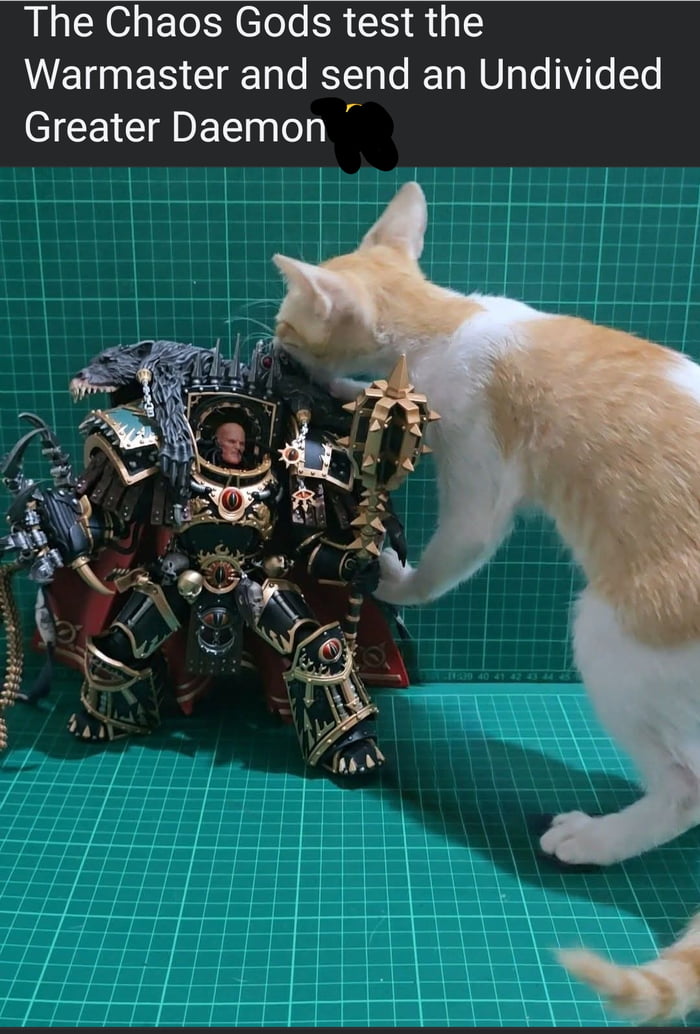 Felinid secret chaos god worshippers!. - 9GAG