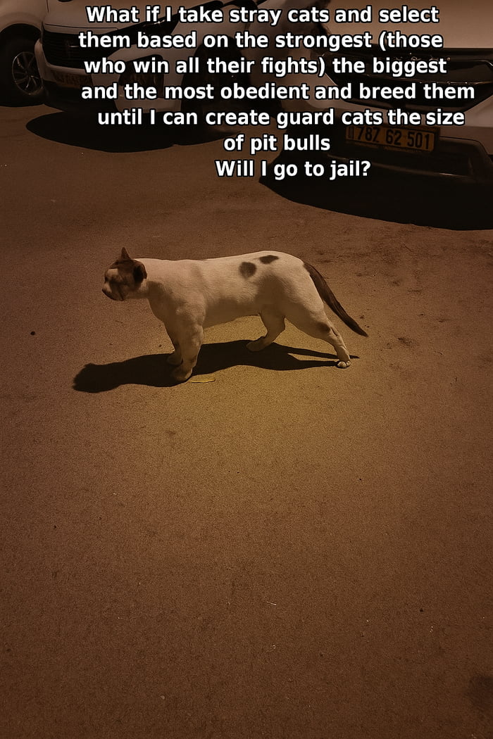 Serious question??? - 9GAG