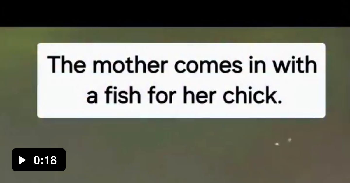 That fish is a bit ambitious for such a little one. - 9GAG
