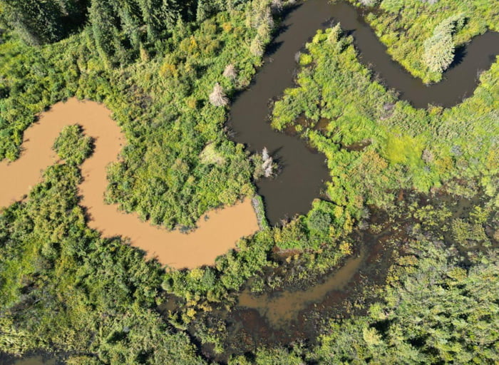 This drone photo was taken during a heavy rainstorm. A beaver dam is ...