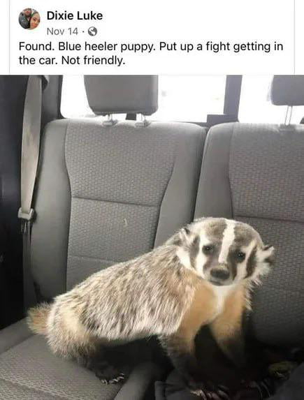 Why would he be friendly😭 - 9GAG