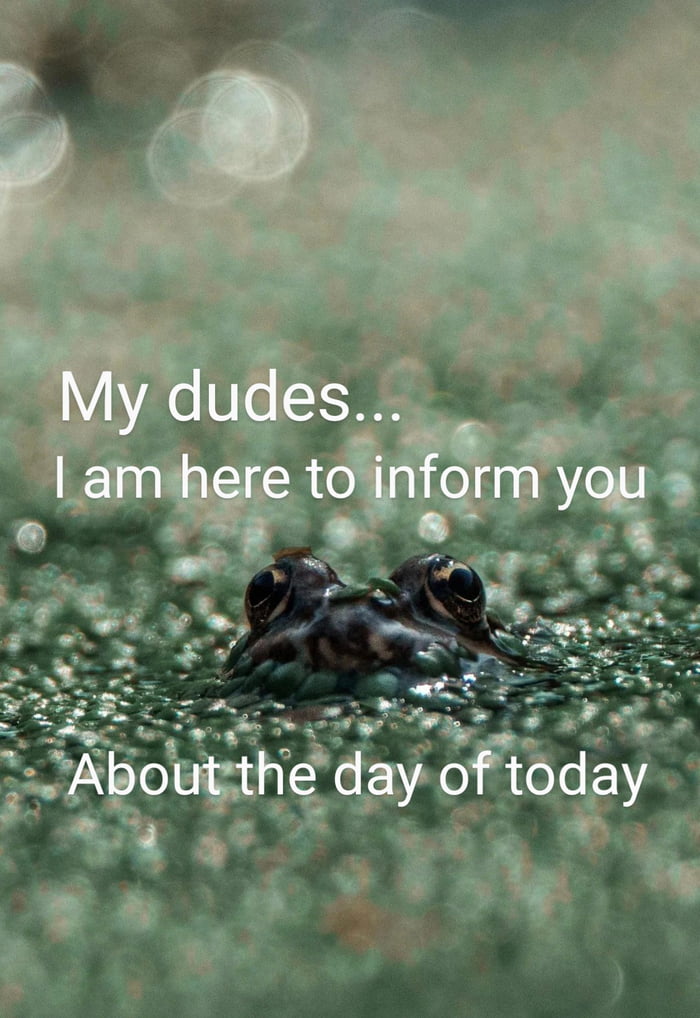 I summon you with the power of Wednesday - 9GAG