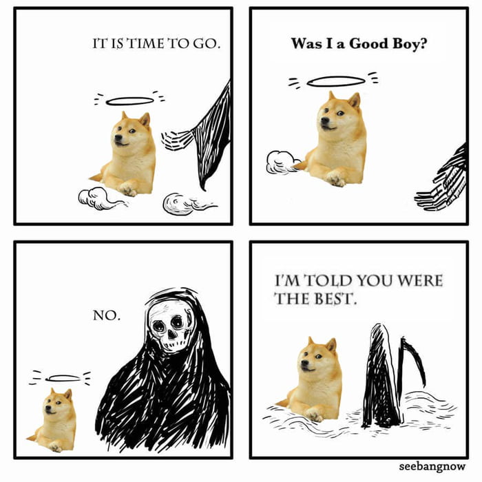 RIP Doge. Thank you for the memes, Kabosu san. - 9GAG